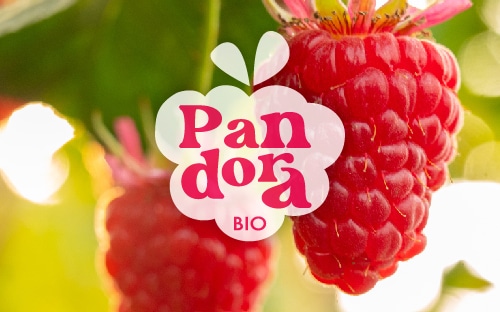 Pandora Organic Raspberry. Great size in the premium segment